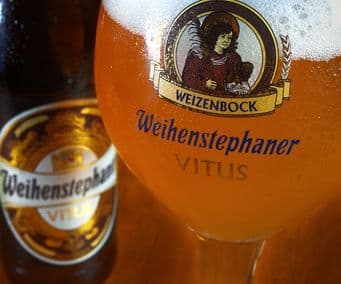 Pils - Our beers - Weihenstephaner